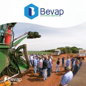 5 – Bevap Bioenergia