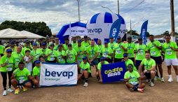 Bevap Bioenergia – Energia que renova